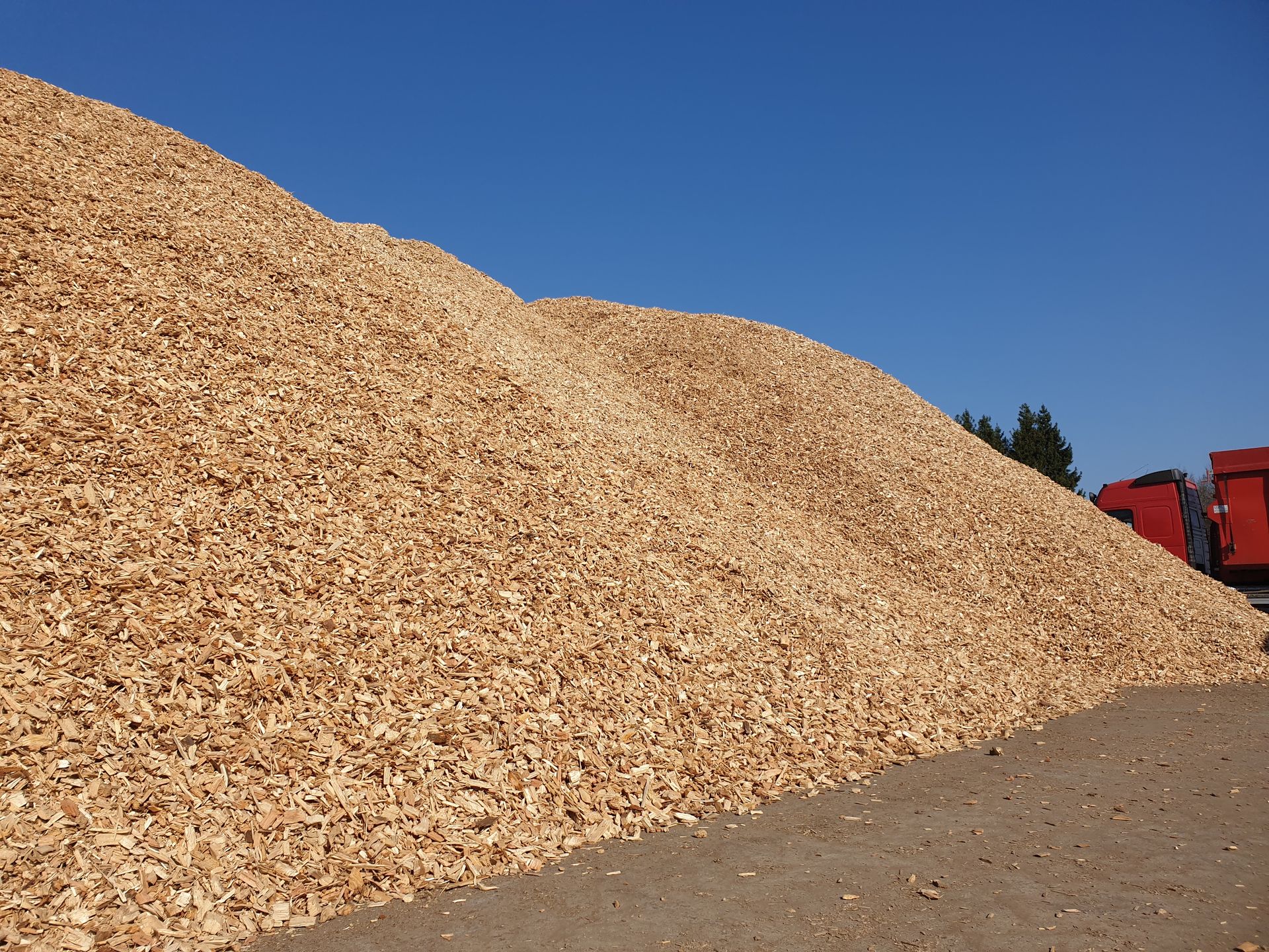 Plaquette forestière | ITS ENERGY